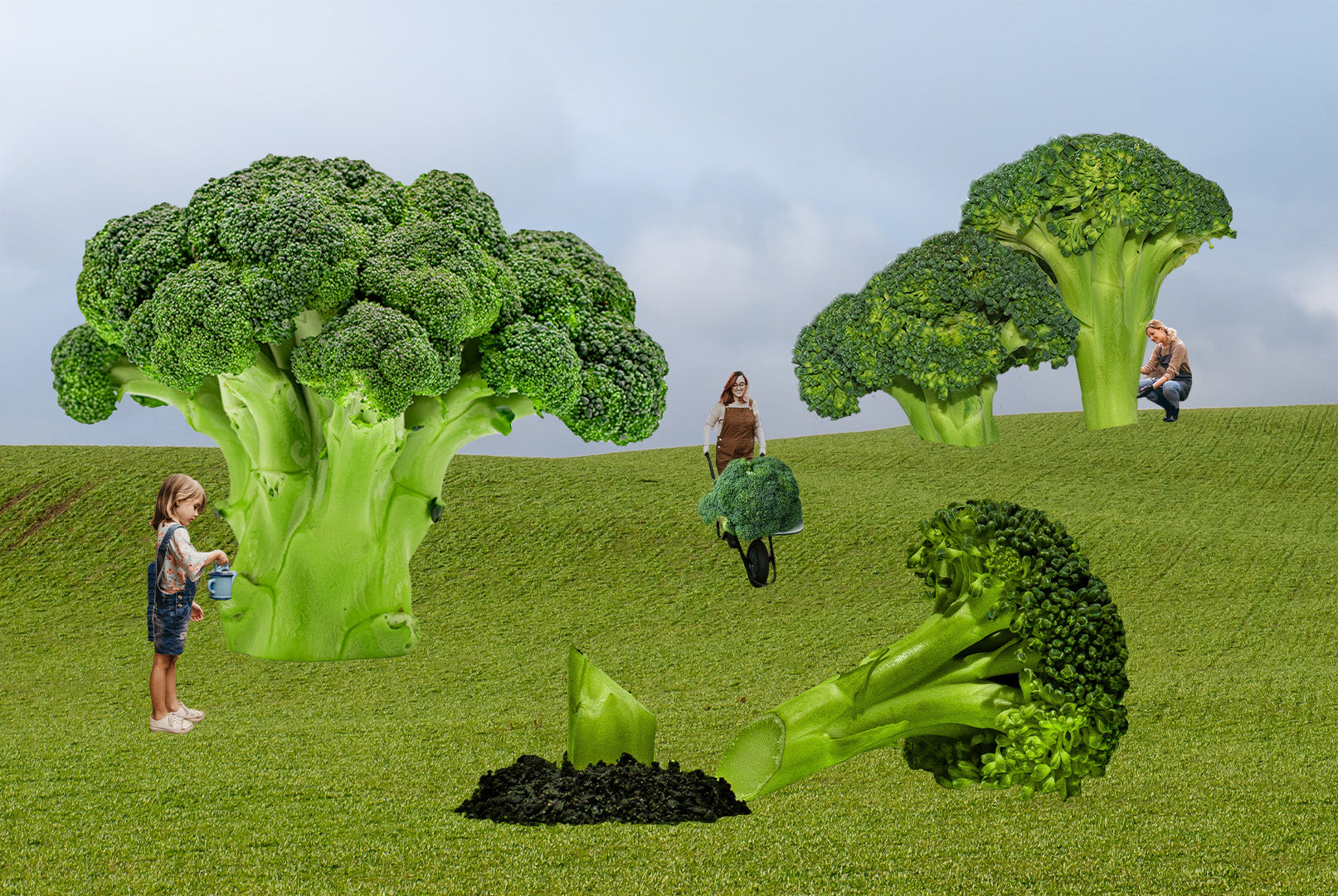 Recipes that will make you like broccoli. – nikalab